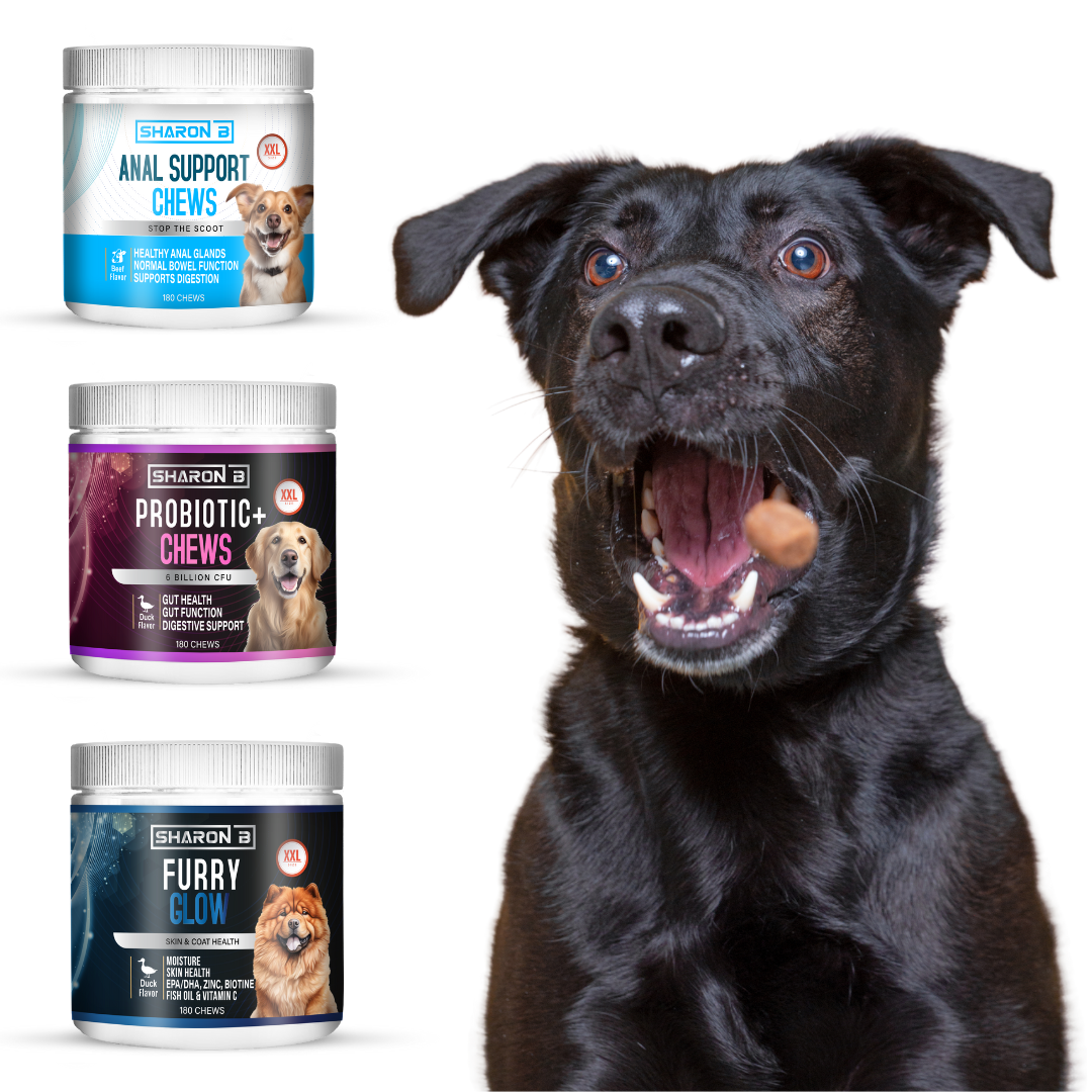 Sharon-B: Accesoires voor uw Huisdier – Sharon-B.com