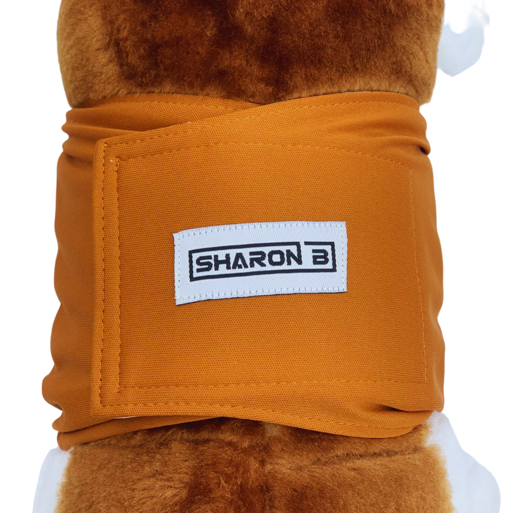 Sharon-B: Accesoires voor uw Huisdier – Sharon-B.com