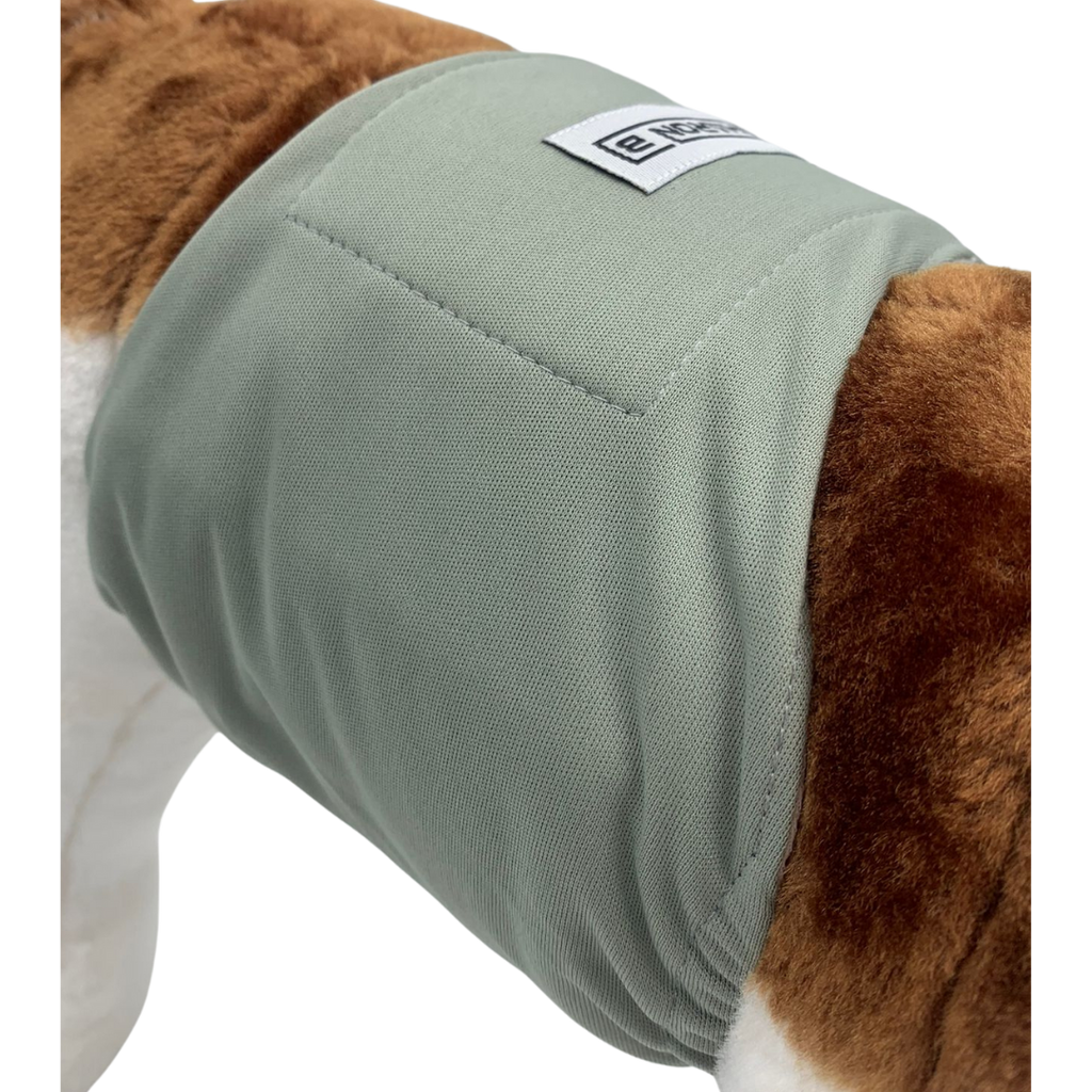 Sharon-B: Accesoires voor uw Huisdier – Sharon-B.com